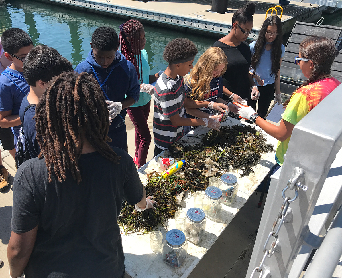 Trash Skimmers - 11th Hour Racing